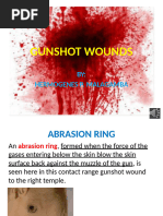 Entrance Wounds | PDF