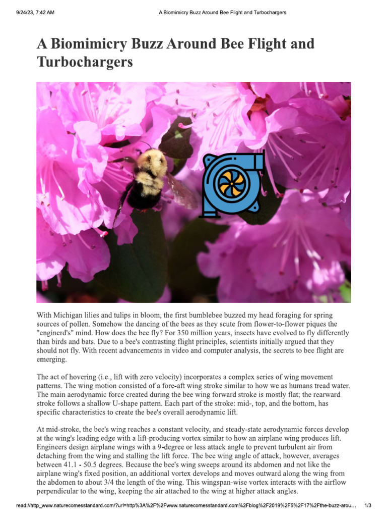 A Biomimicry Buzz Around Bee Flight and Turbocharges | PDF