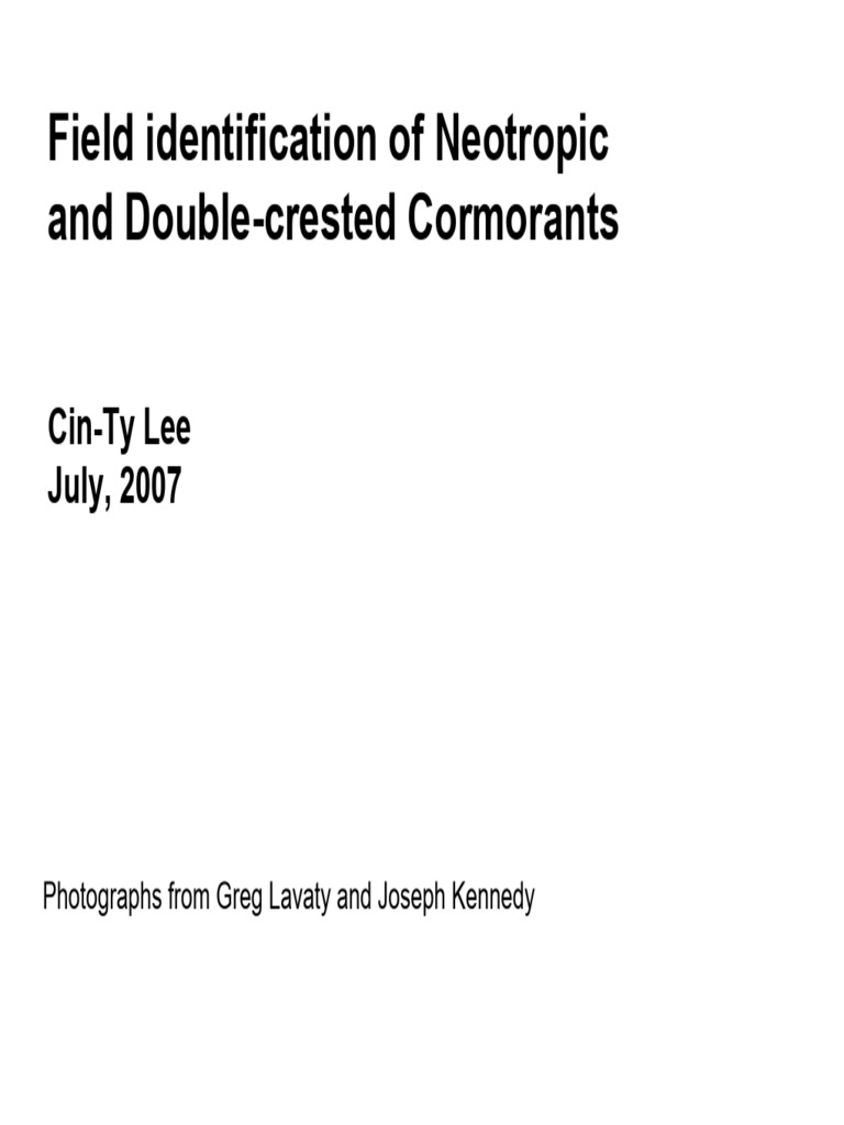 Neotropic vs Double-crested Cormorants | PDF | Holarctic Birds ...