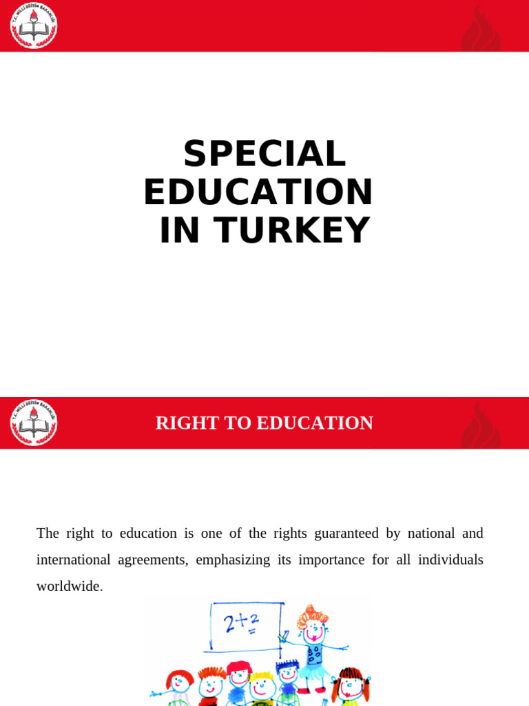 Special Education in Turkey | PDF