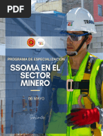 Programa SIG - GESTIÓN INTEGRAL HQSE | PDF | Business