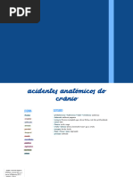 Forames Do Crânio | PDF | Neuroanatomia | Anatomia humana