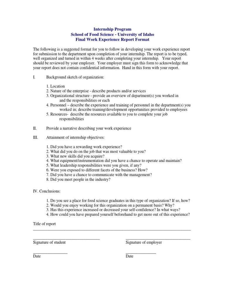 A U Final Work Experience Report | PDF