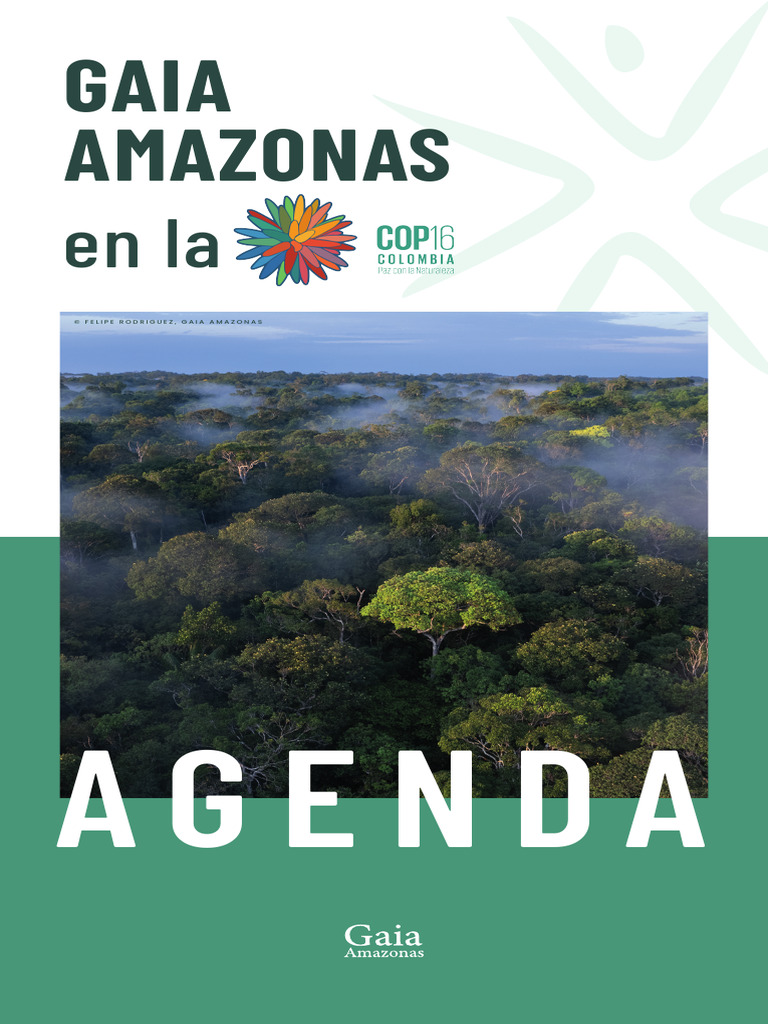 Agenda COP16 Gaia Amazonas | PDF | Selva amazónica | Perú