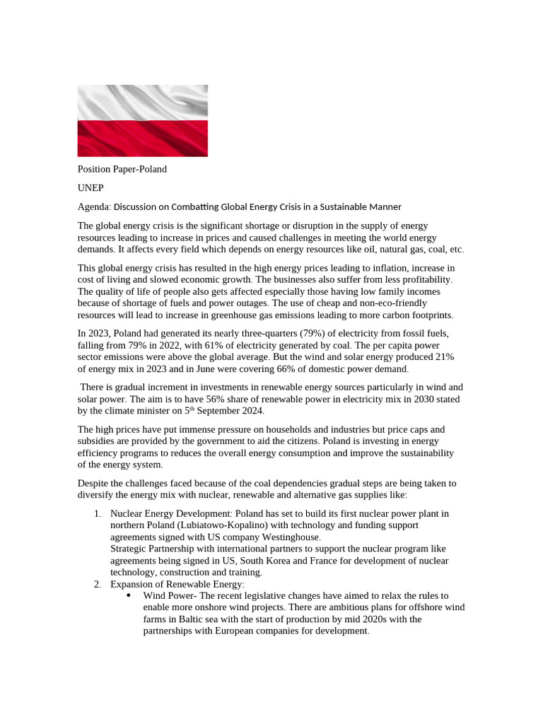 Position Paper Poland | PDF | Cost Of Living | Renewable Energy