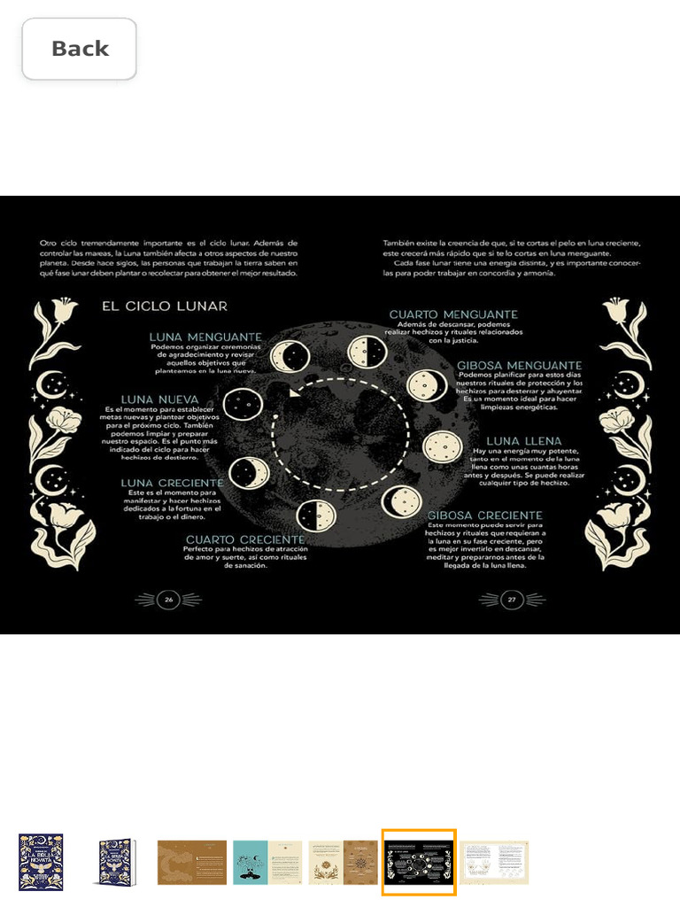 Manual de La Bruja Novata The Rookie Witch's Handbook (Spanish Edition ...