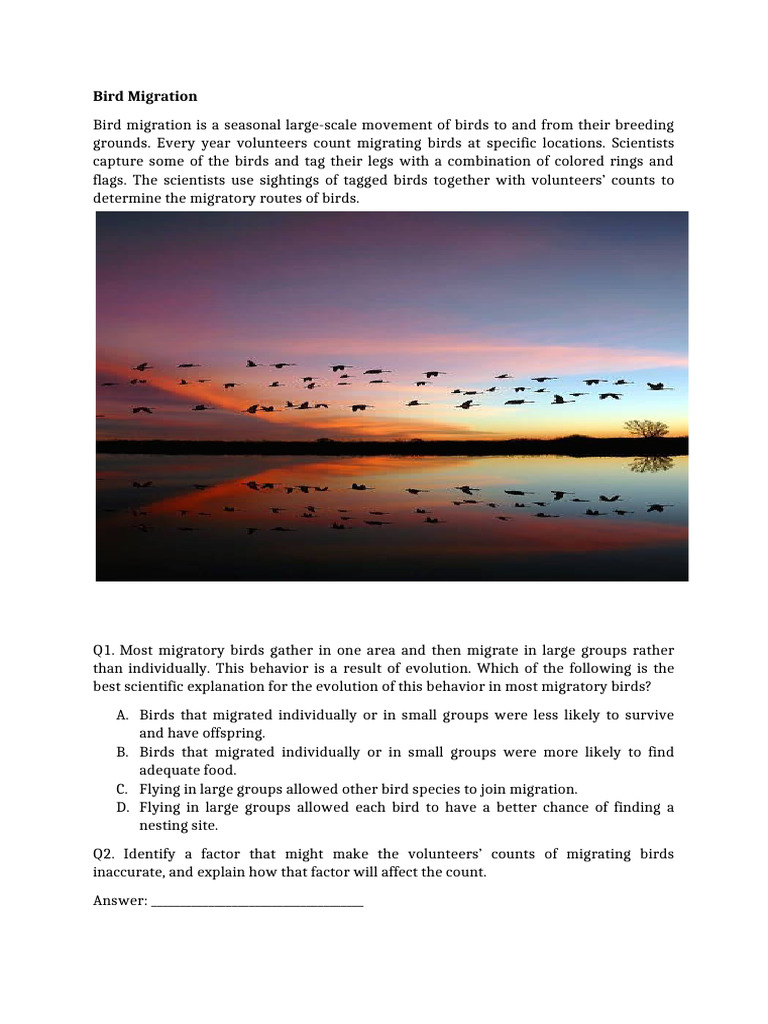 Bird Migration | PDF | Bird Migration | Birds