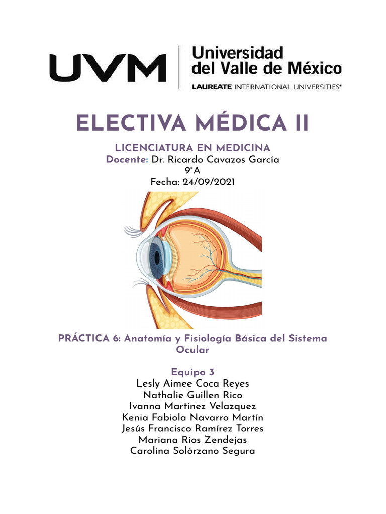 Electiva II - Practica 6 | PDF | Ojo humano | Percepción visual