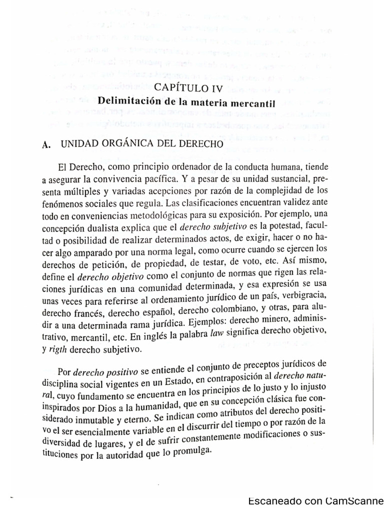 Derecho Mercantil Cap IV | PDF