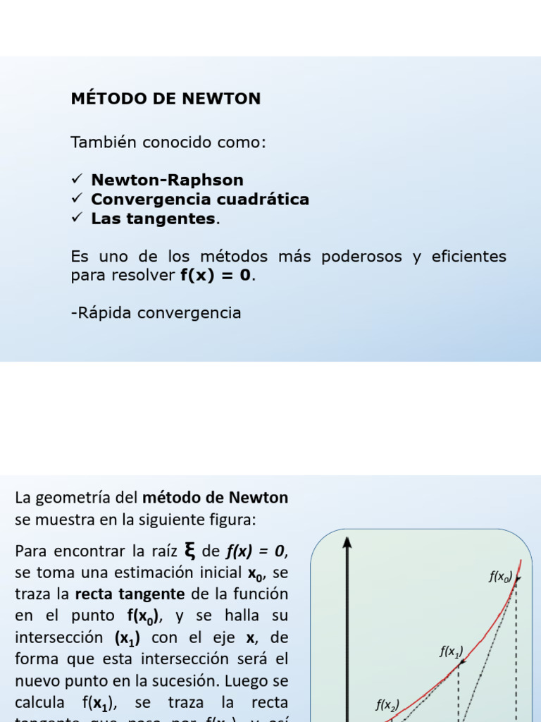 Presentación Método Newton | PDF