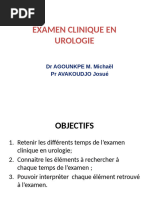 Anatomie des reins et leur vascularisation | PDF | Rein | Foie