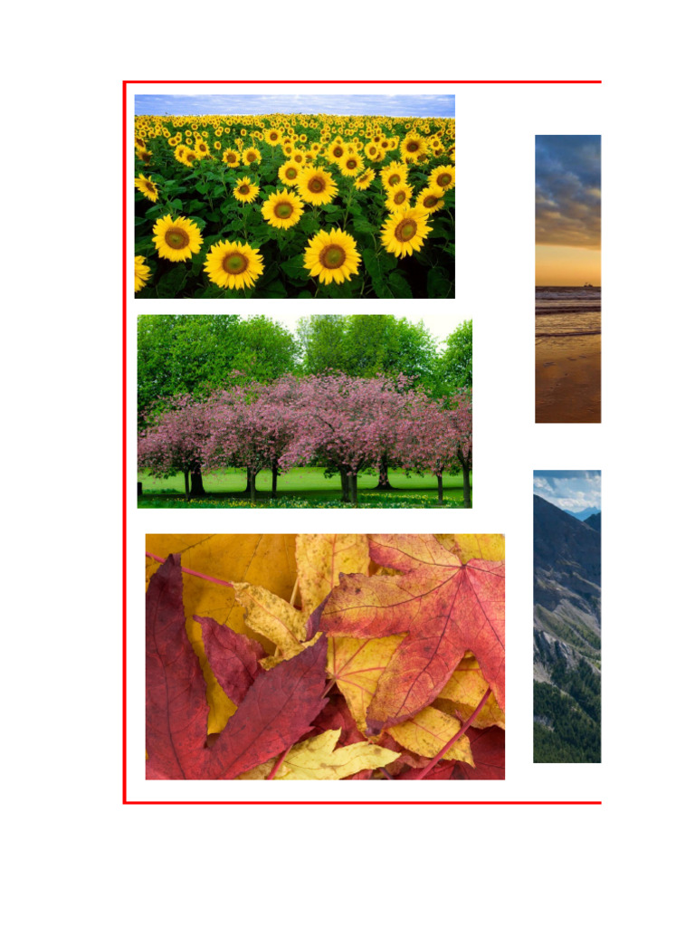 Lab Oratorio 4 | PDF