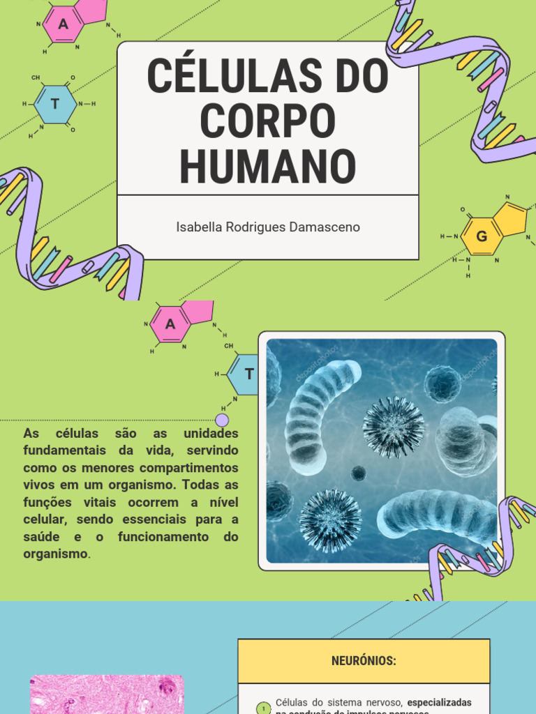 Aula 1 - Curso Fisiologia | PDF | Corpo humano | Célula (Biologia)