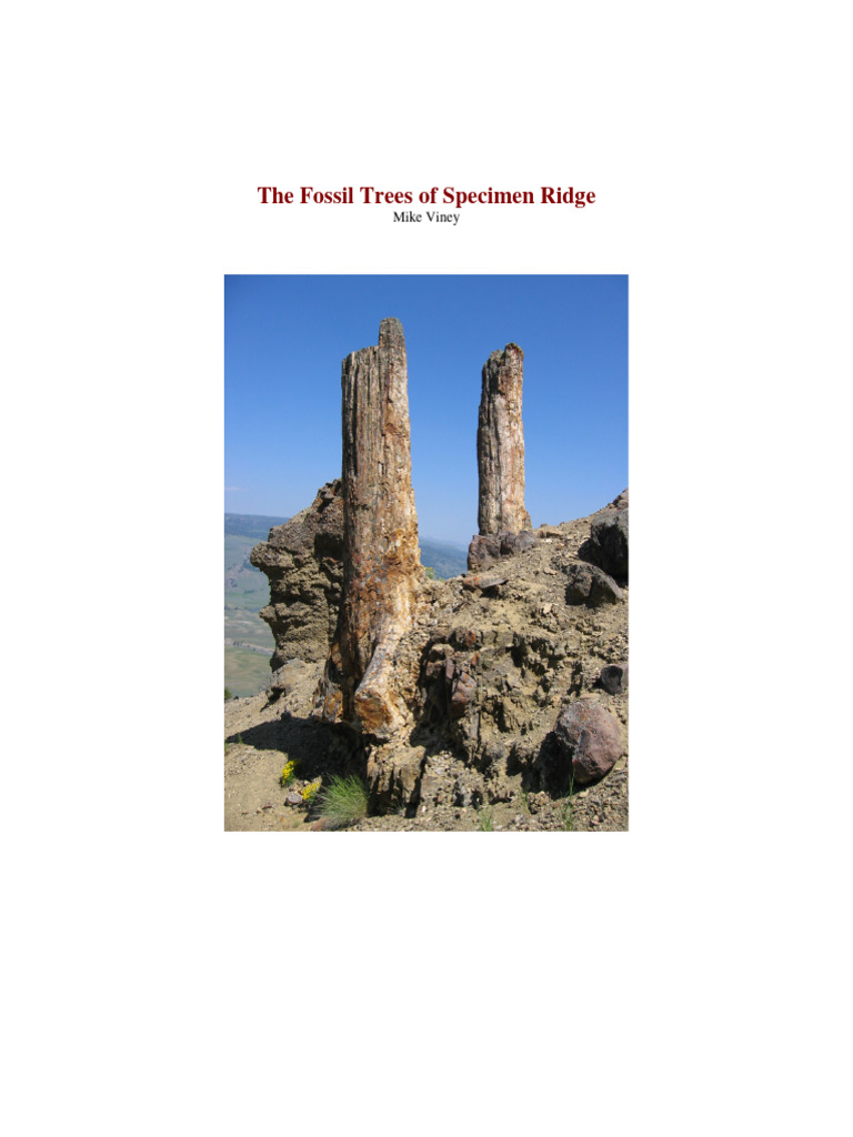 The Fossil Trees of Specimen Ridge | PDF | Science & Mathematics