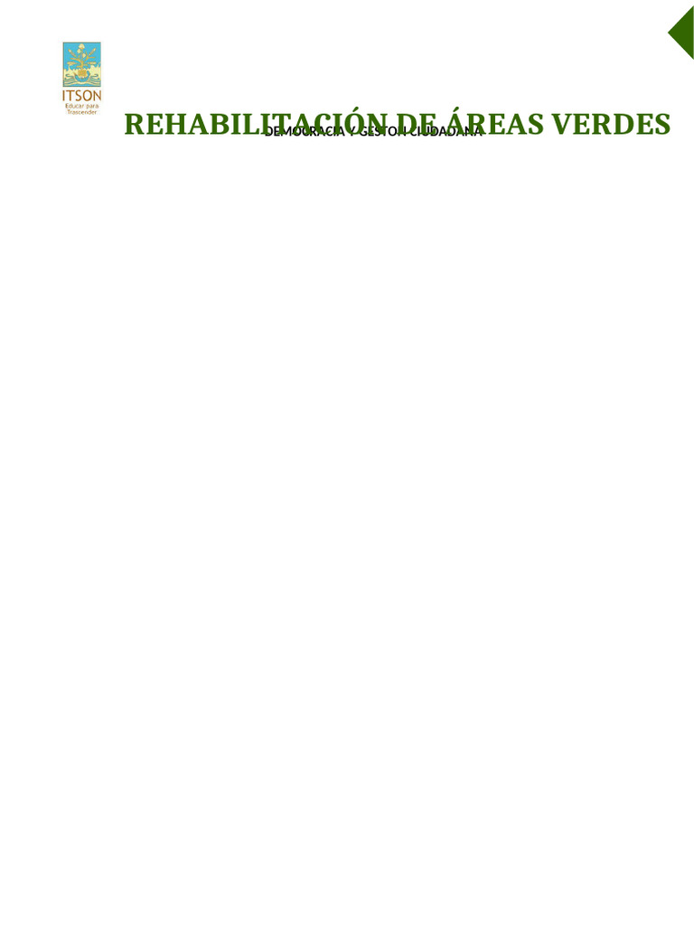 Proyecto Final de Democracia Rehabilitacion de Areas Verdes Roberto ...