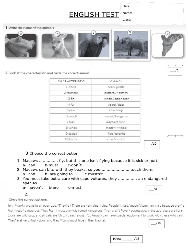 ENGLISH TEST 2do Año | PDF
