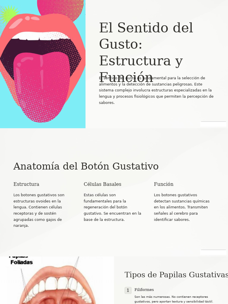 Estructura y Trastornos del Gusto | PDF | Gusto | Sistema nervioso