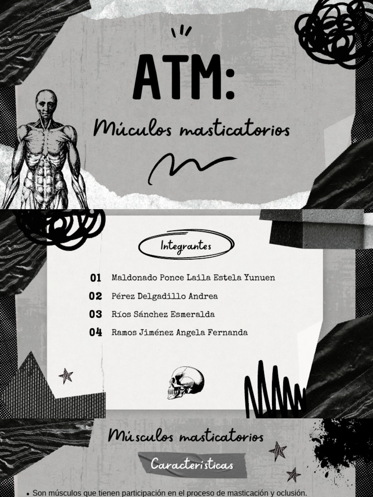 Atm Musculos Masticatorios | PDF | Cabeza y cuello humanos | Anatomía ...