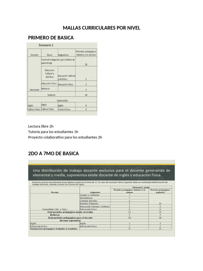 Mallas Curriculares Por Nivel | PDF