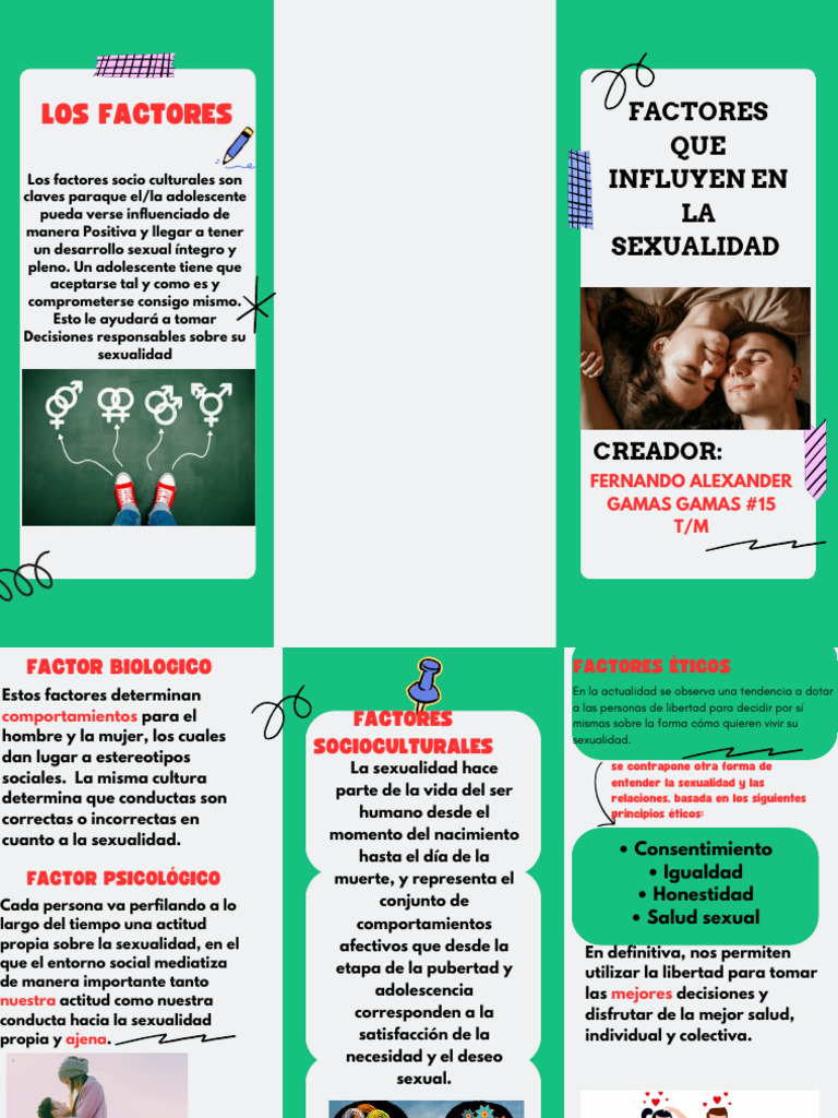 Triptico de Factores Que Incluyen en La Sexualidad | PDF | La sexualidad humana | Comportamiento