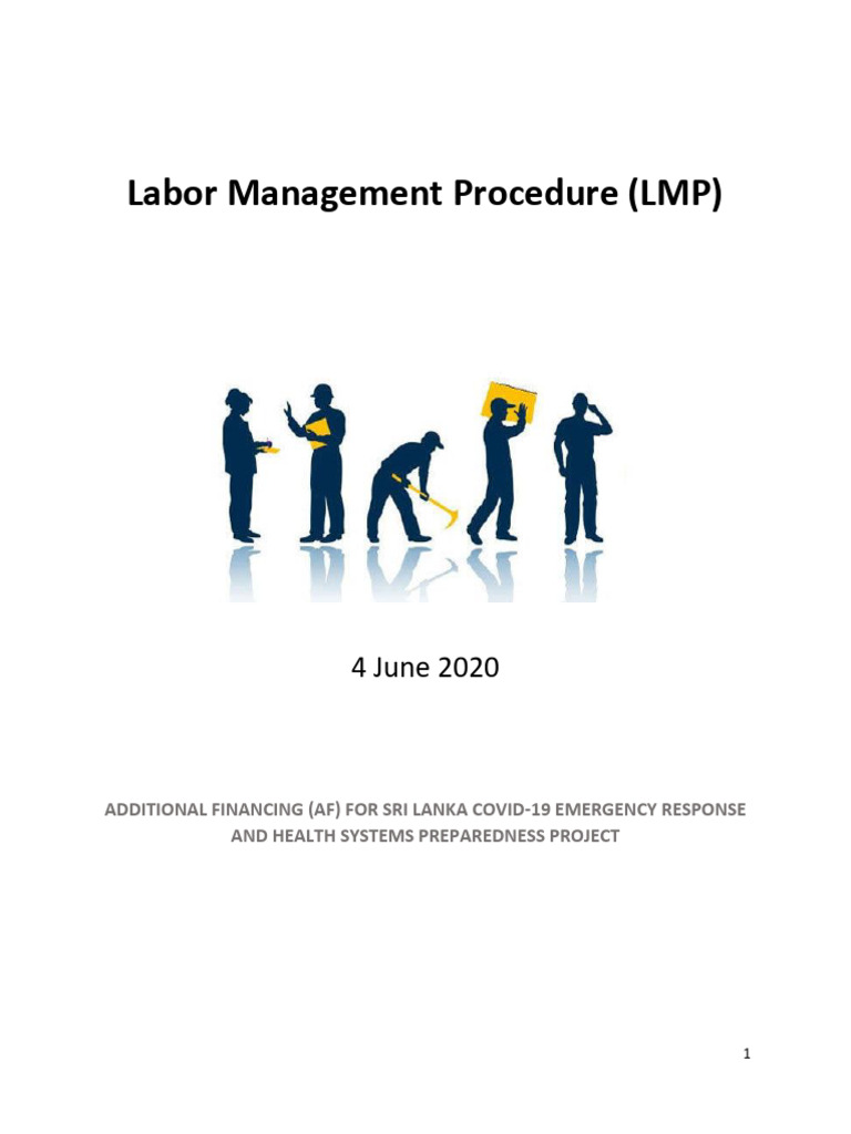 Labour | PDF | Employment | Occupational Safety And Health