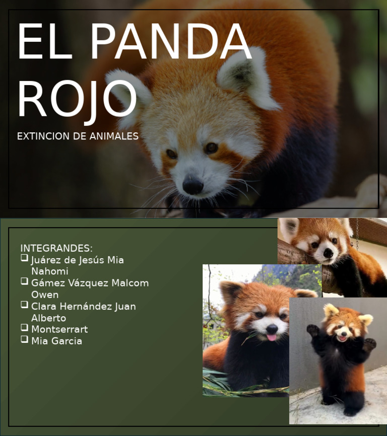Ecologia Imp | PDF