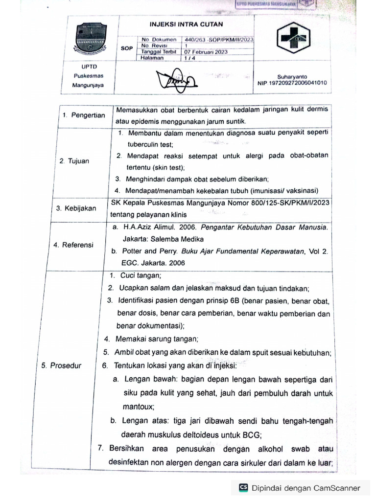 Injeksi Intracutan | PDF