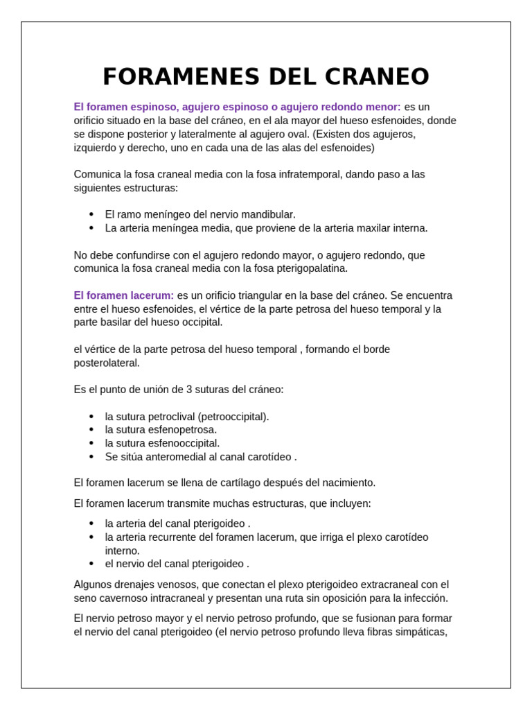Foramenes Del Craneo | PDF | Cráneo | Cabeza y cuello humanos