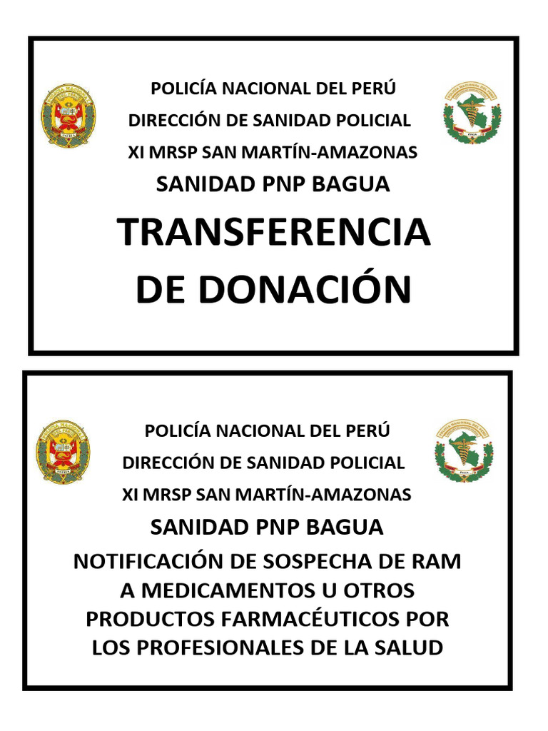 Formatos Sanidad PNP Bagua Hoy | PDF