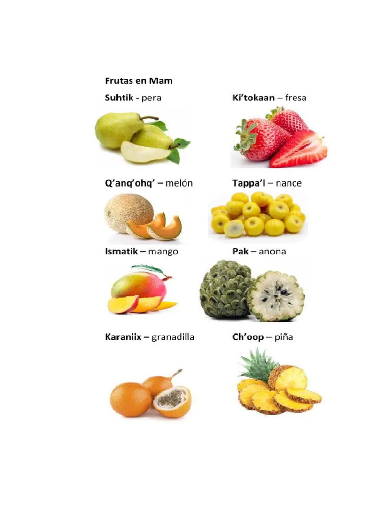 Verduras en Mam | PDF