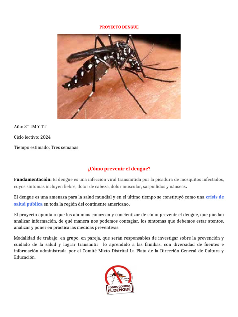PROYECTO DENGUE Final | PDF | Medicina CLINICA | Enfermedades animales