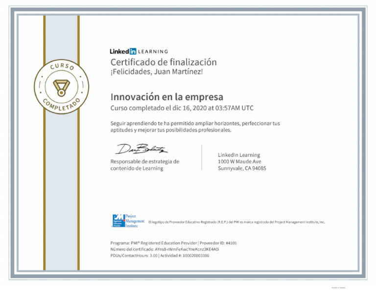 Project Management Institute (PMI) ® | PDF