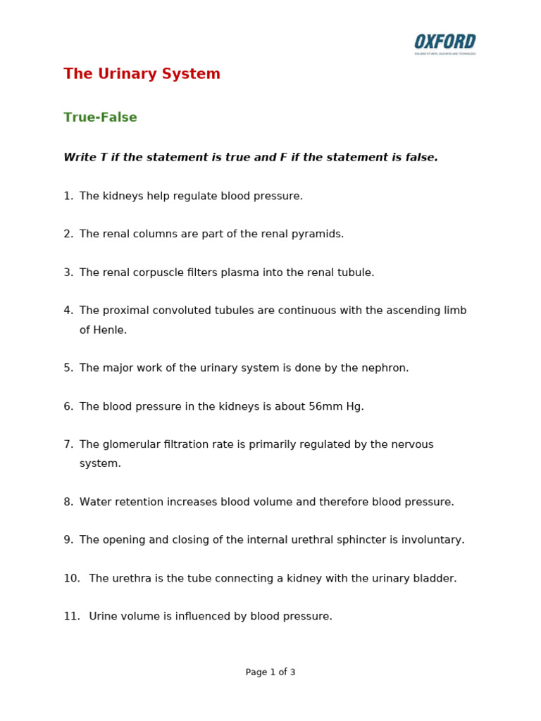 22 Urinary System Assignment | PDF | Kidney | Urinary System