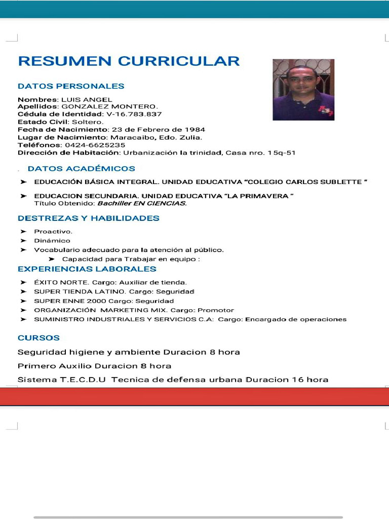 Curriculo Luis | PDF