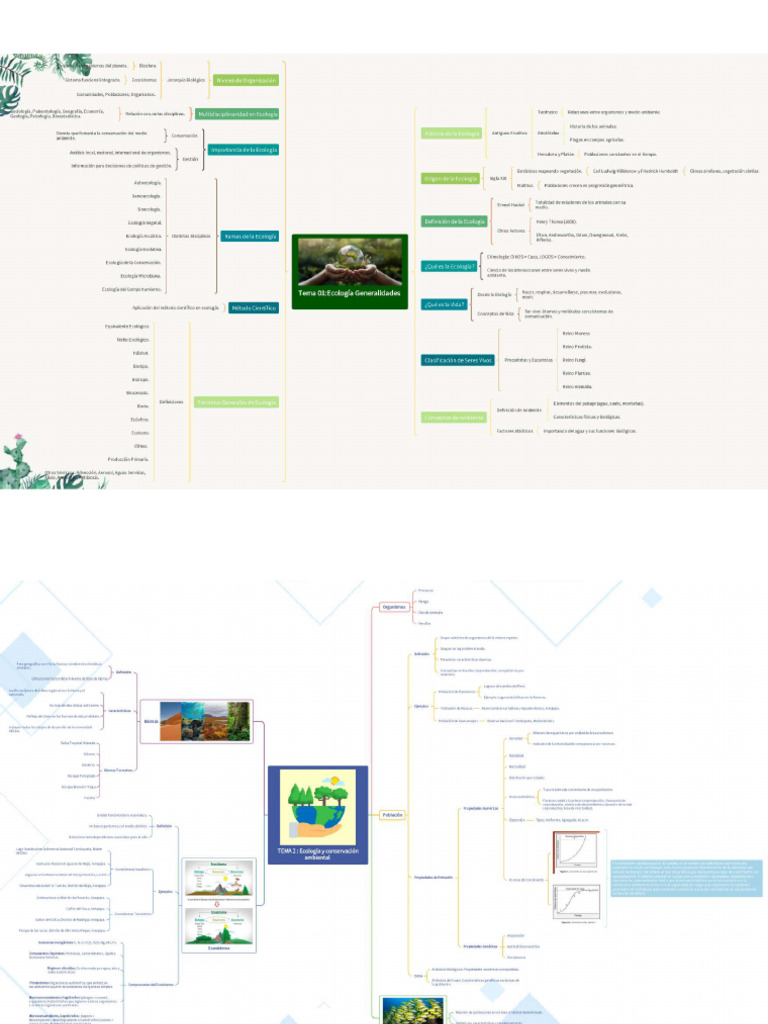 Mapas Conceptuales | PDF