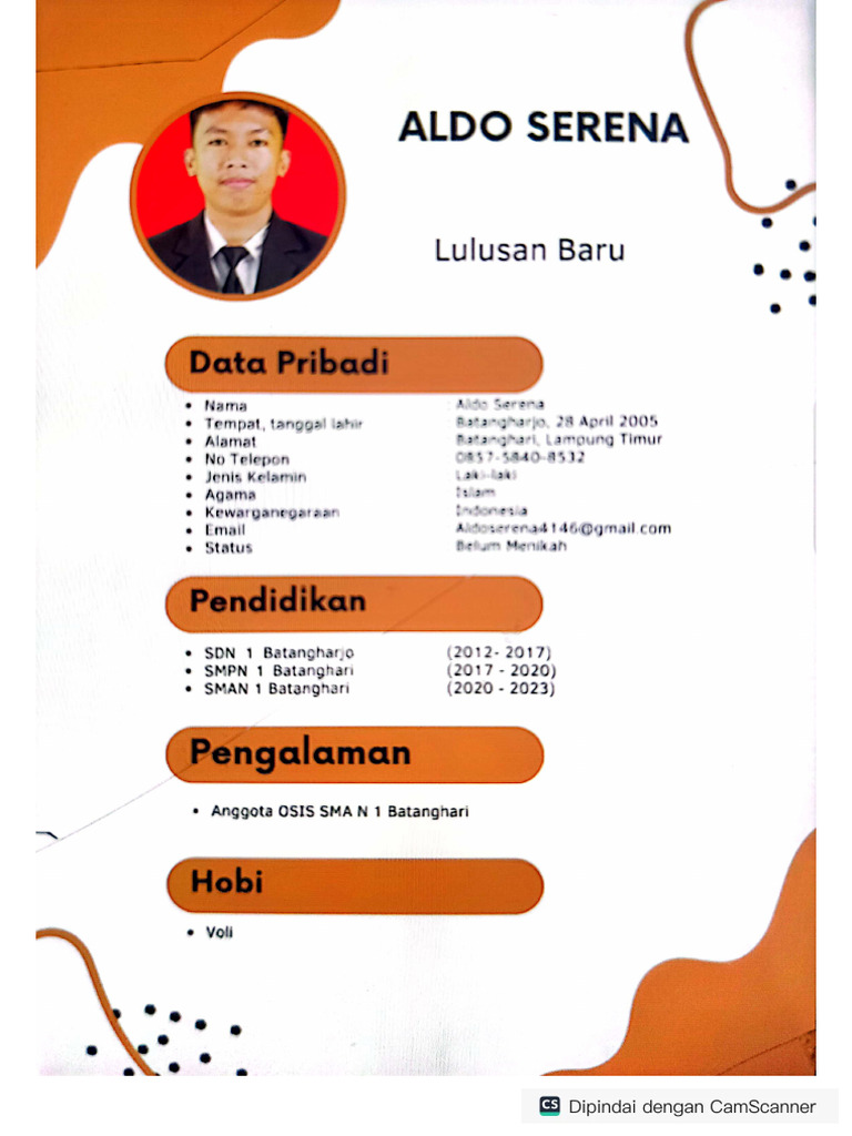 Data Aldo Serena | PDF