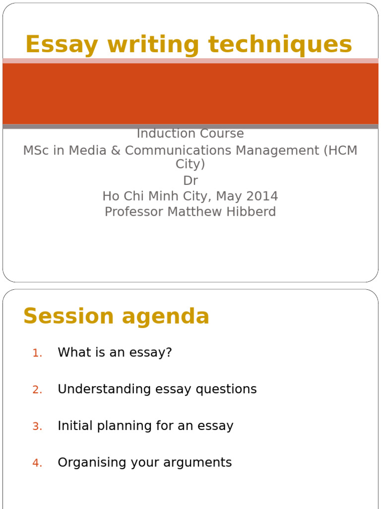 Essay Writing Techniques for MSc Students | PDF | Argument | Essays