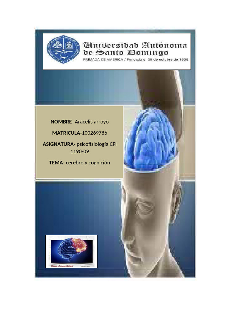 Cerebro Y Cognicion Pdf Cerebro Hemisferio Cerebral