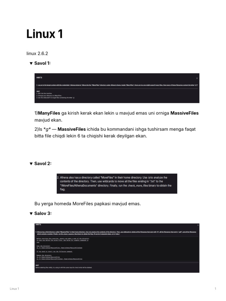Linux Command Usage and File Issues | PDF