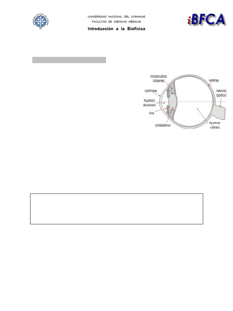El Ojo Como Sistema Optico | PDF | Ojo humano | Óptica