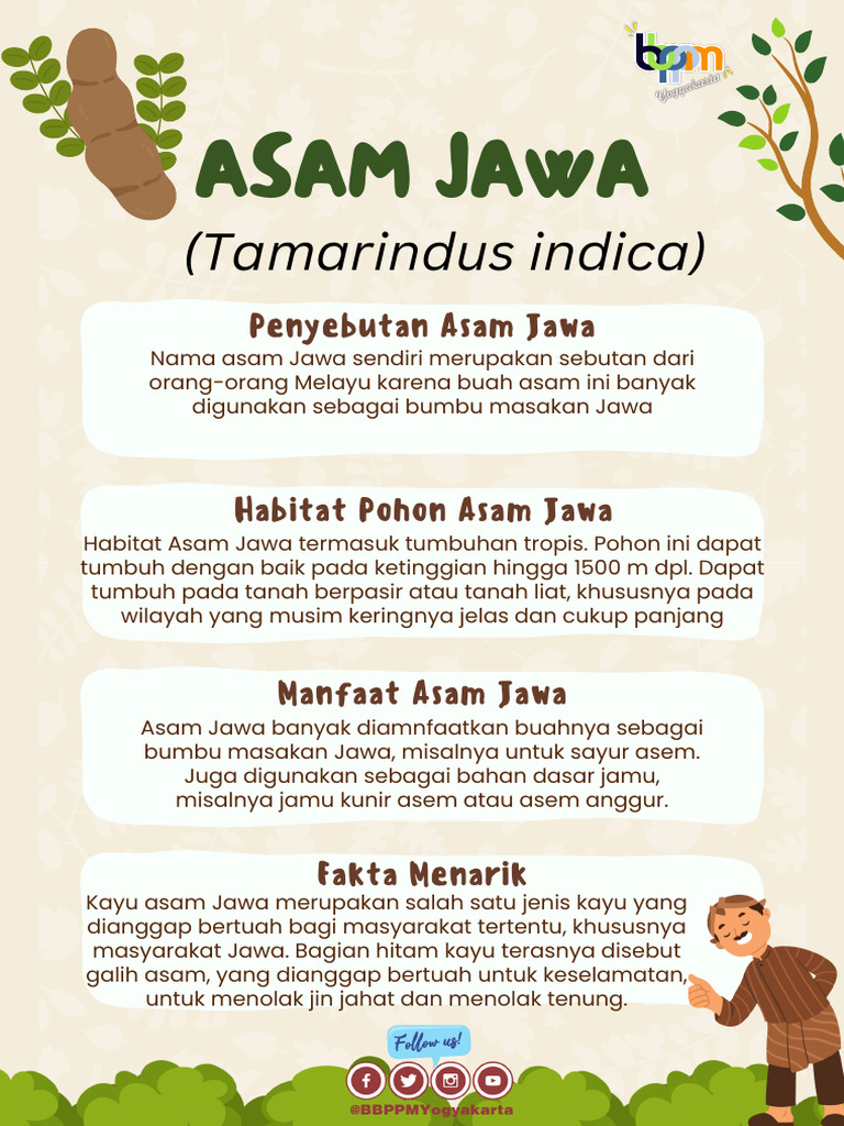 Asam Jawa | PDF