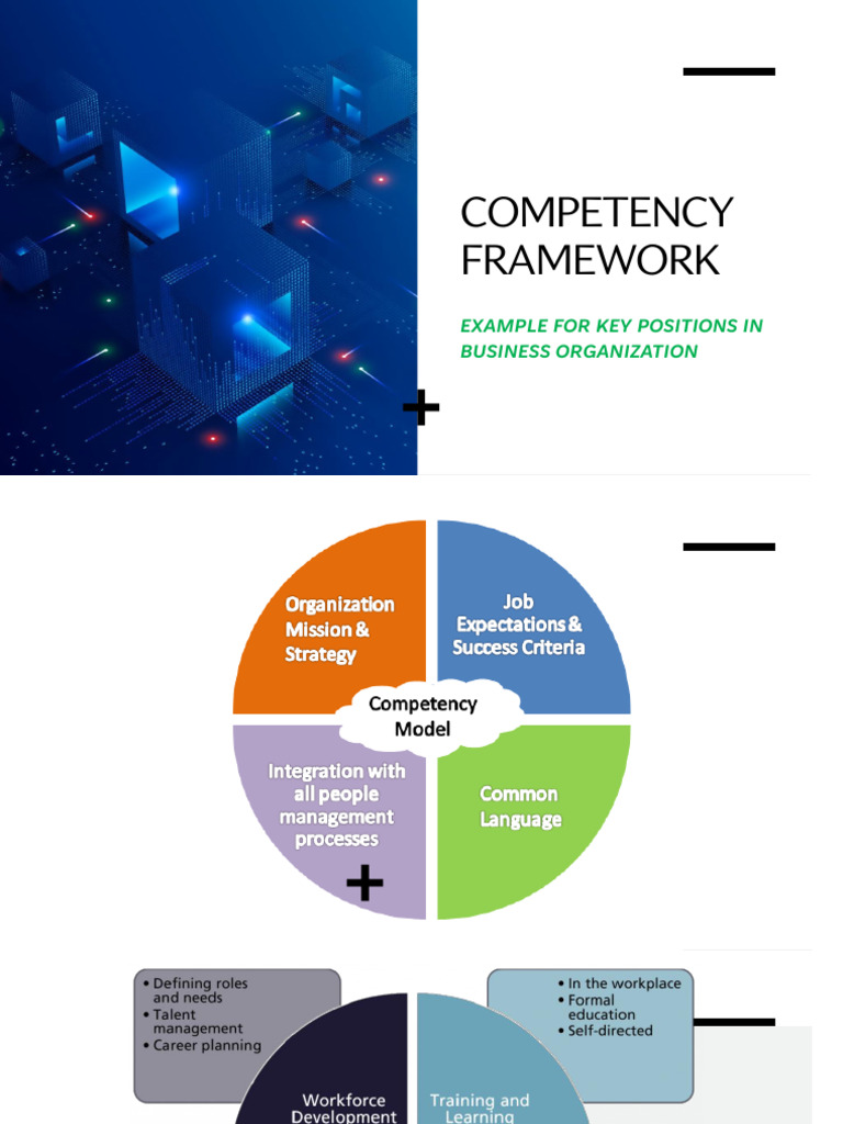 Competencies Framework-A.truong - EN | PDF