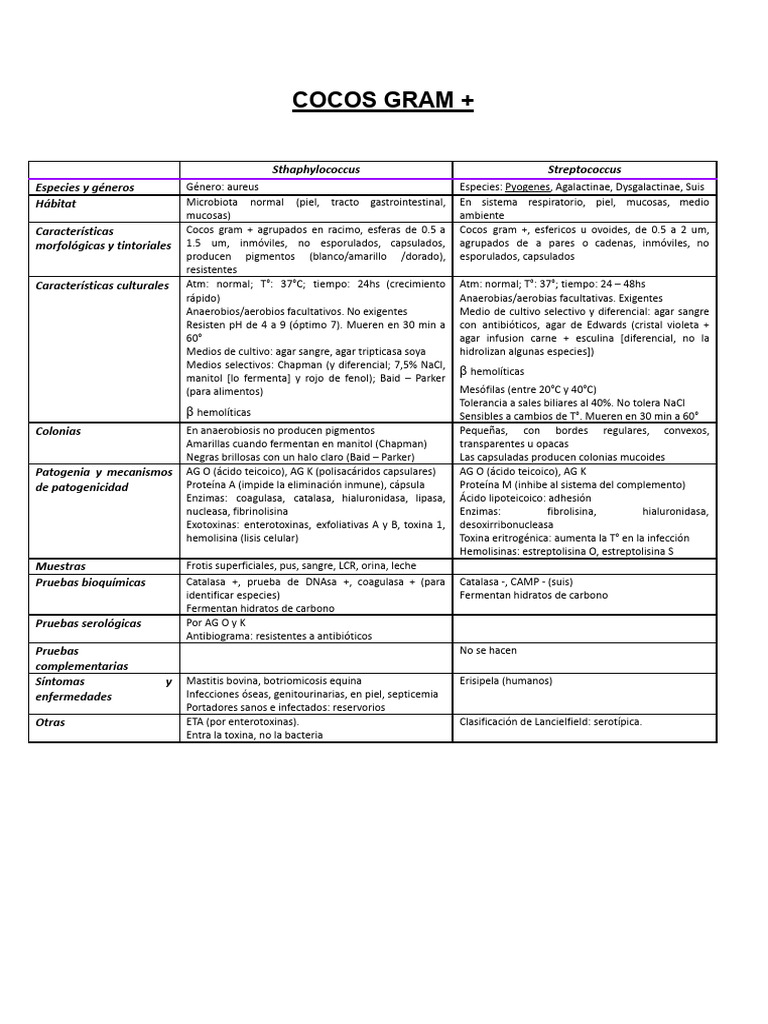 Cocos Gram +: Características y Patogenia | PDF | Microbiología ...
