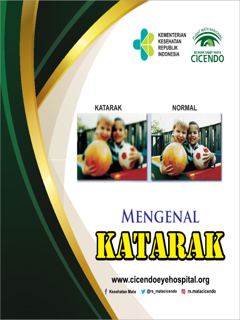Mengenal Katarak | PDF