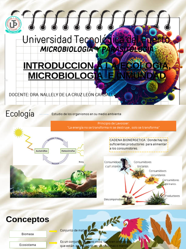 Exposicion Conceptos de Microbiologia 1.Pptx 20241009 221217 0000 | PDF ... Exposicion Conceptos de Microbiologia 1.Pptx 20241009 221217 0000 | PDF ...
