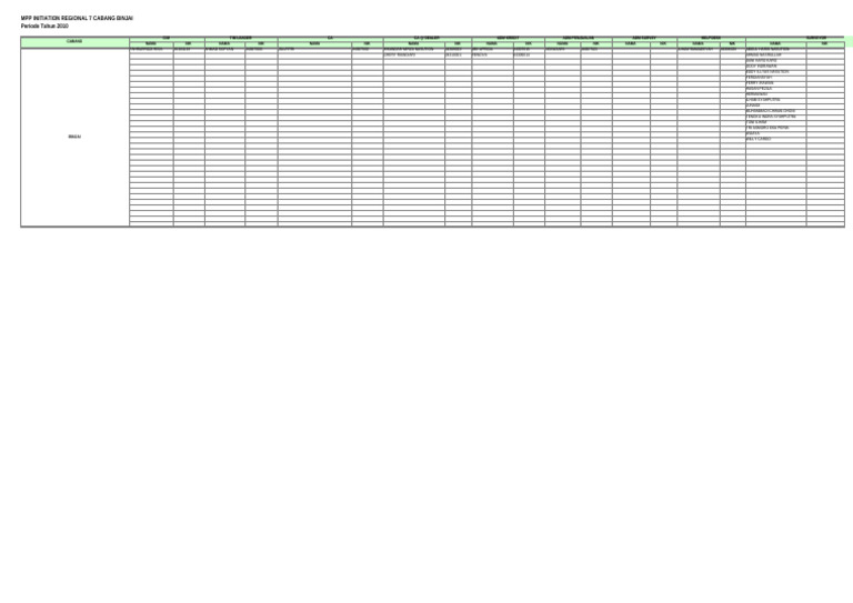 Format MPP 2010 | PDF