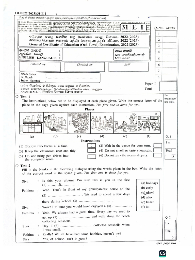OL English Past Paper and Answers | PDF | Social Science | Technology ...
