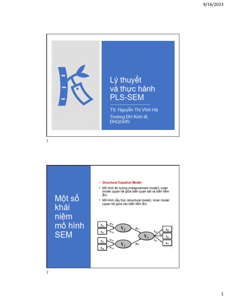 PLS-SEM Instruction | PDF