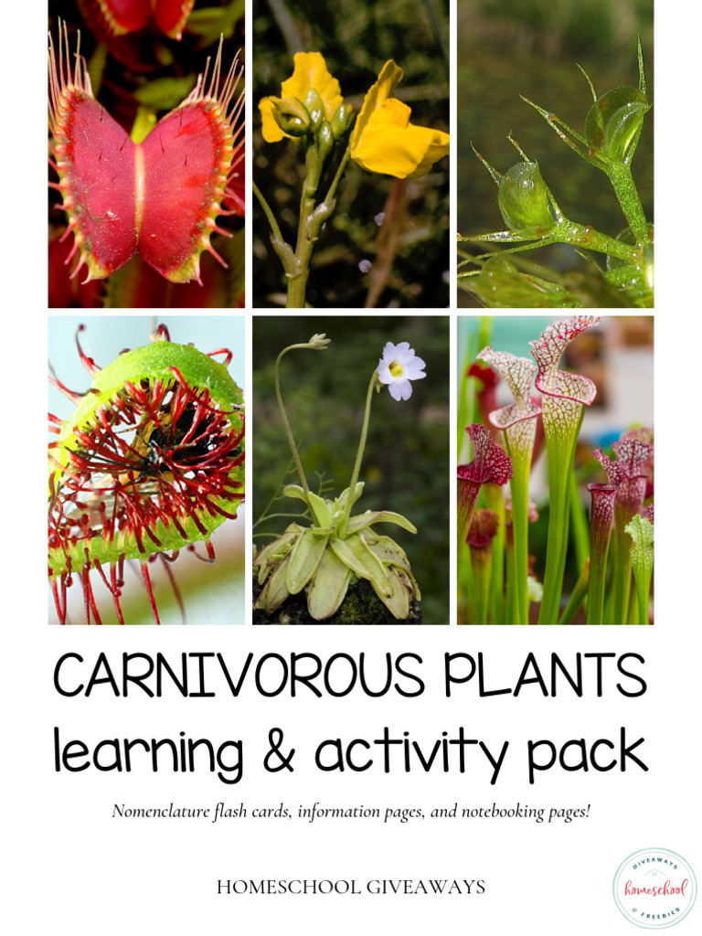Carnivorous Plants Learning Activity Pack 1 | PDF | Organisms | Botany