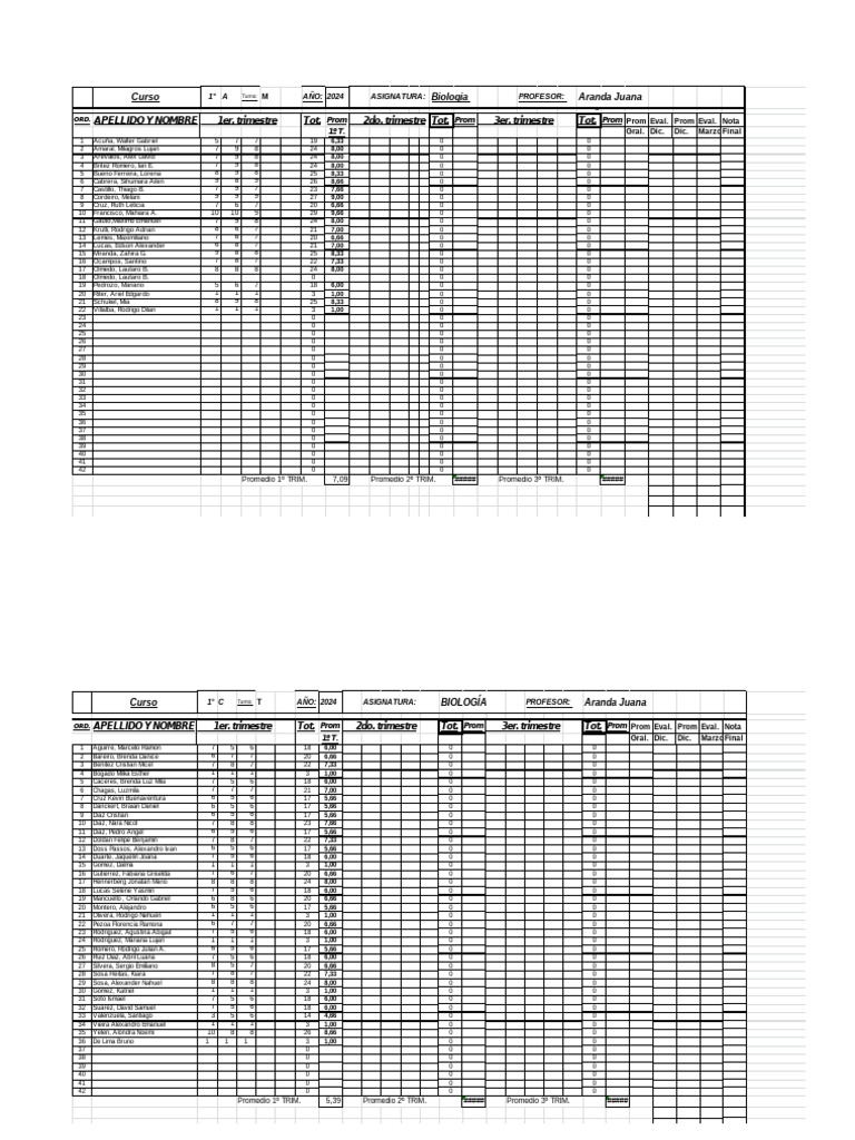 Planillas 2024 | PDF